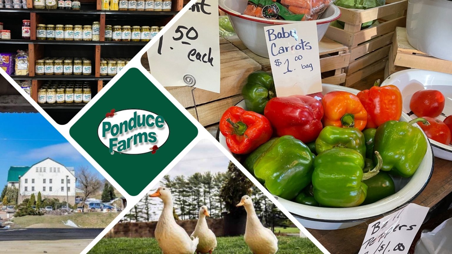 Ponduce Farms - Susquehanna Kids