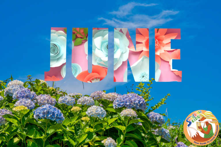 June Family Fun Guide☀️Upcoming Events & Kids Activities Near You ...